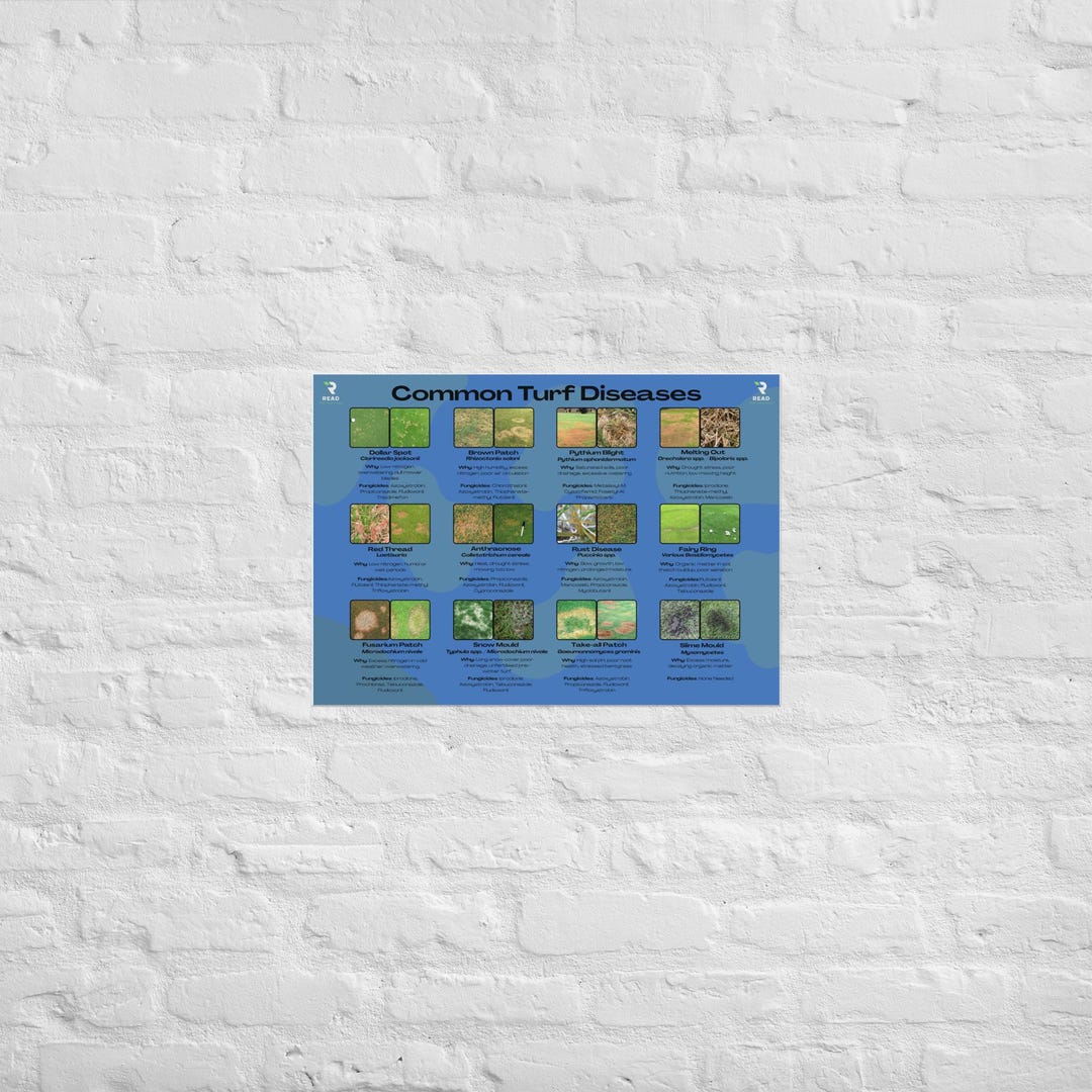Common Turf Diseases Poster - Etsy