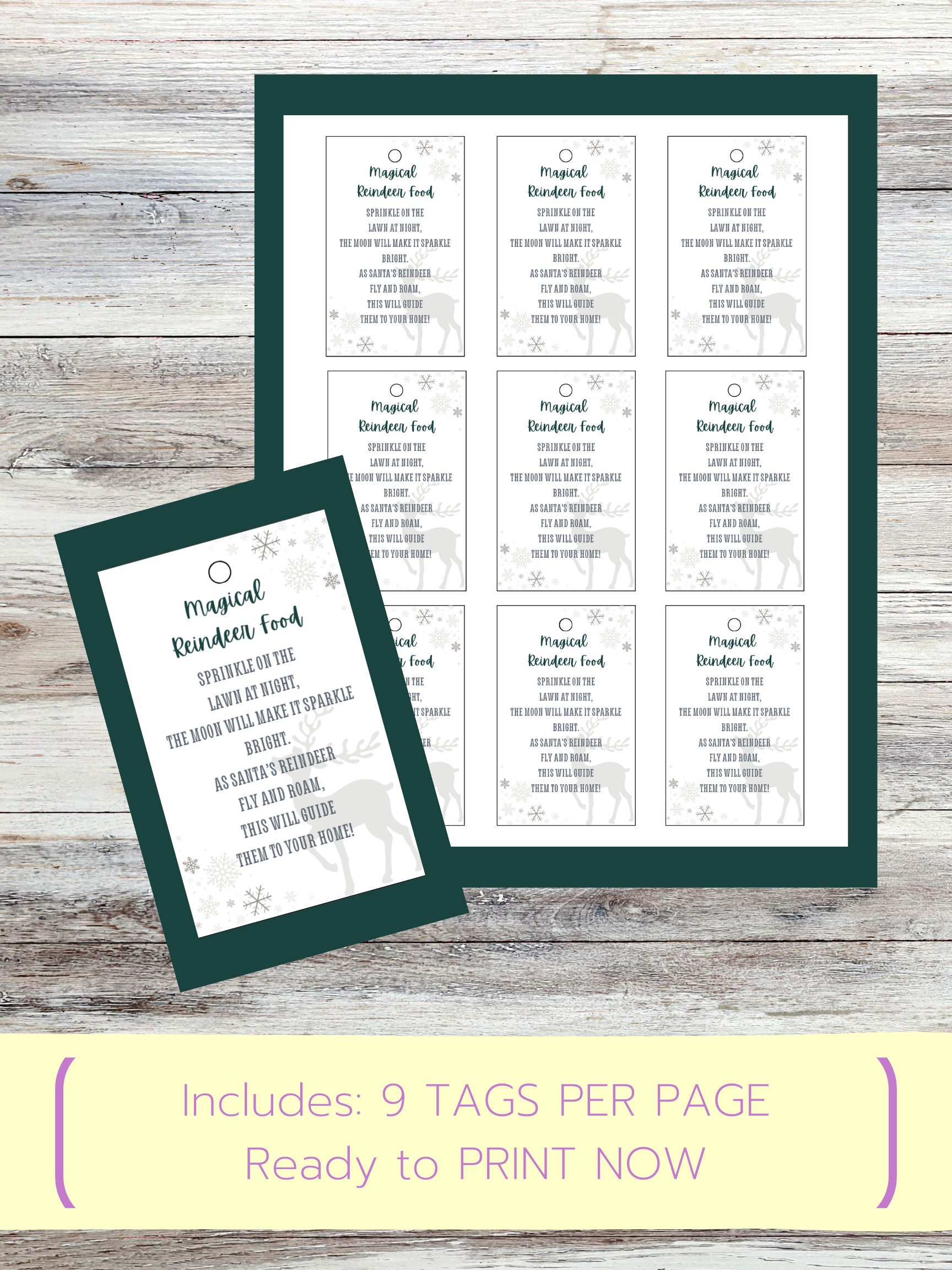 Printable Santa's Magical Reindeer Food Christmas Tag / Reindeer Food ...