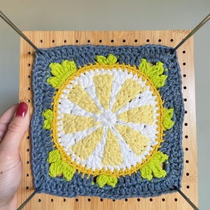 Citrus Slice Granny Square Crochet Pattern (PDF Pattern) - Etsy