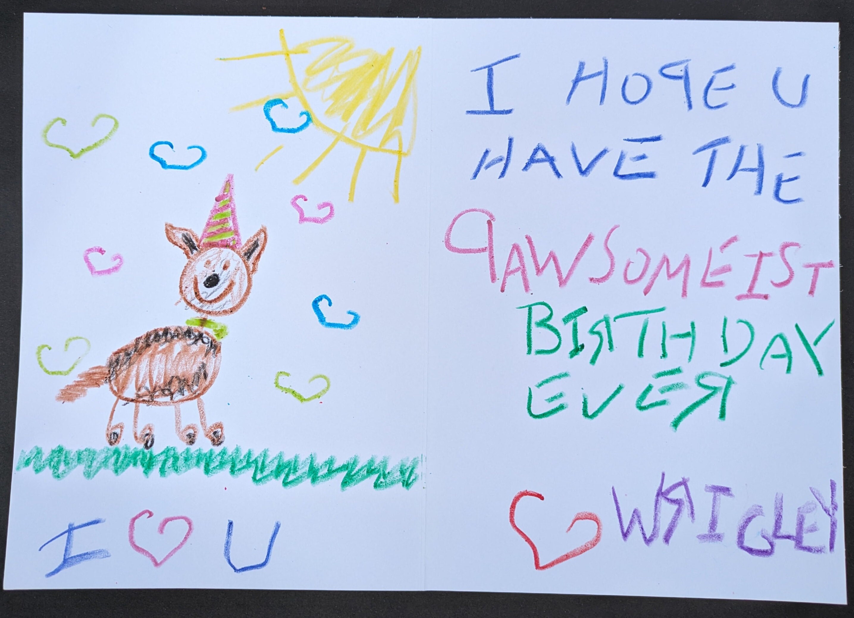 CUSTOM Happy Birthday Love the Dog Card From the Dog - Etsy