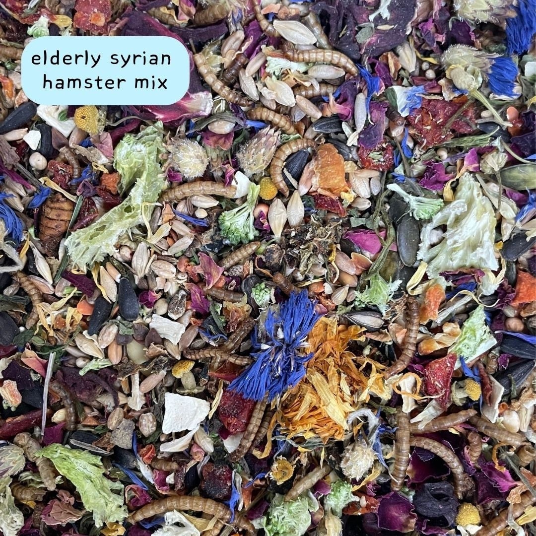 The Hamster Mixologists Premium Elderly Syrian Hamster Food– Natural ...