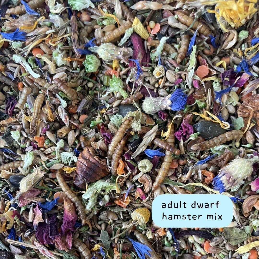 The Hamster Mixologists Premium Adult Dwarf Hamster Food – Natural and ...