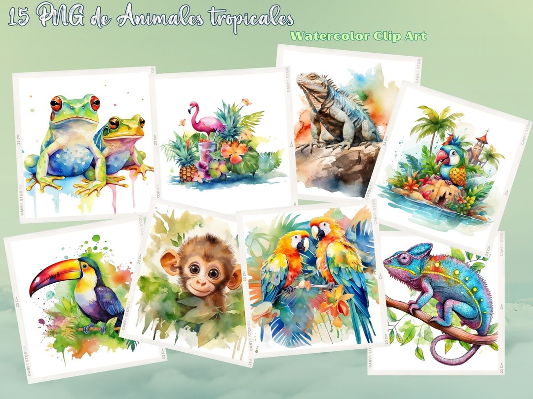 Watercolor Tropical Animals Clipart, 15 PNG Images of Rainforest ...