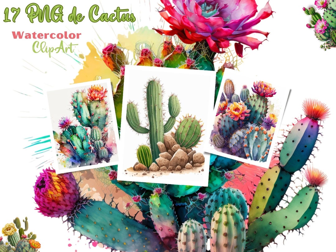 Watercolor Cactus Clip Art, 17 Watercolor Cactus Pngs, Desert Plants ...