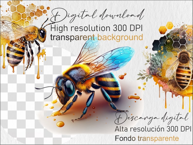 Bees on Honeycomb With Honey Clipart, 12 Watercolor Bees in PNG Format ...