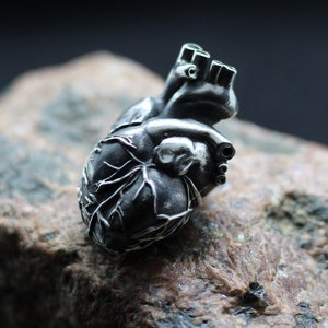 Anatomically Human Heart Casket Pendant. Human Heart Box. Detailed ...