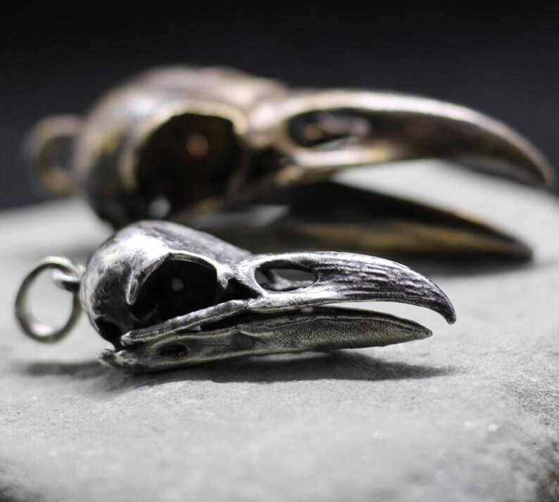 Small Extremely Anatomically Detailed Raven Crow Skull Jewelry Pendant ...