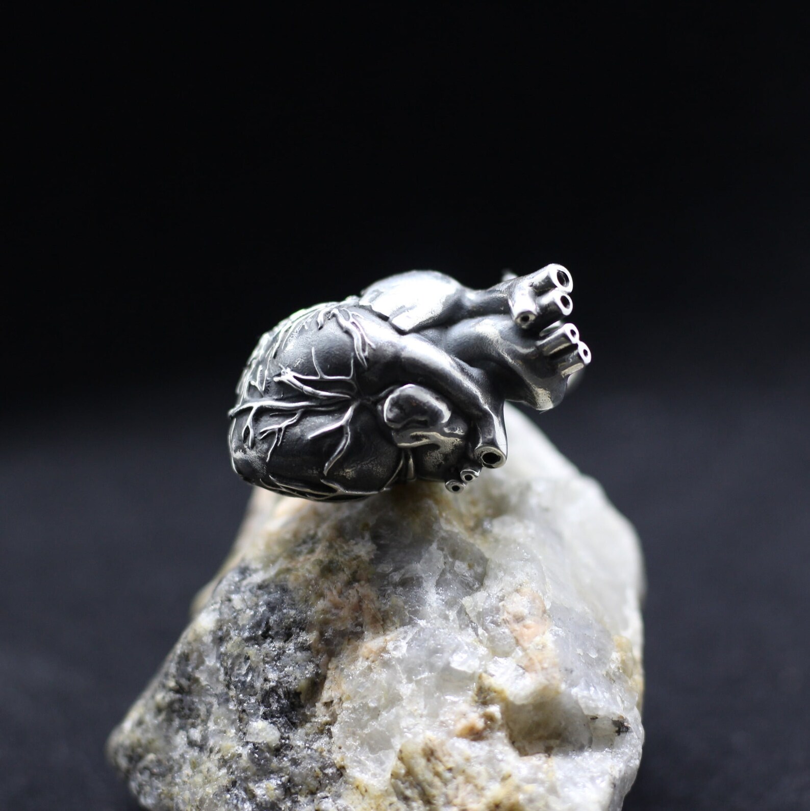 Anatomically Human Heart Casket Pendant. Human Heart Box. Detailed ...