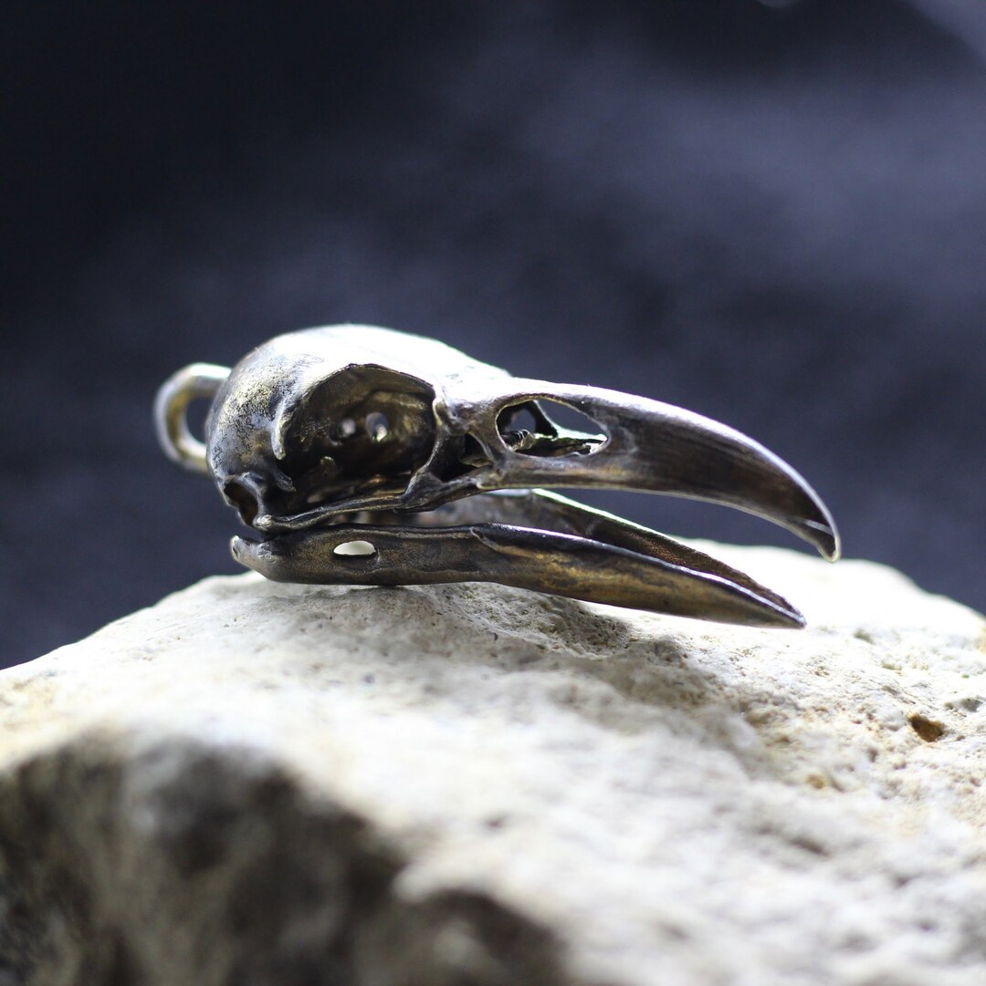 Big Anatomical Detailed Raven Crow Skull Jewelry Pendant. Fantastic ...