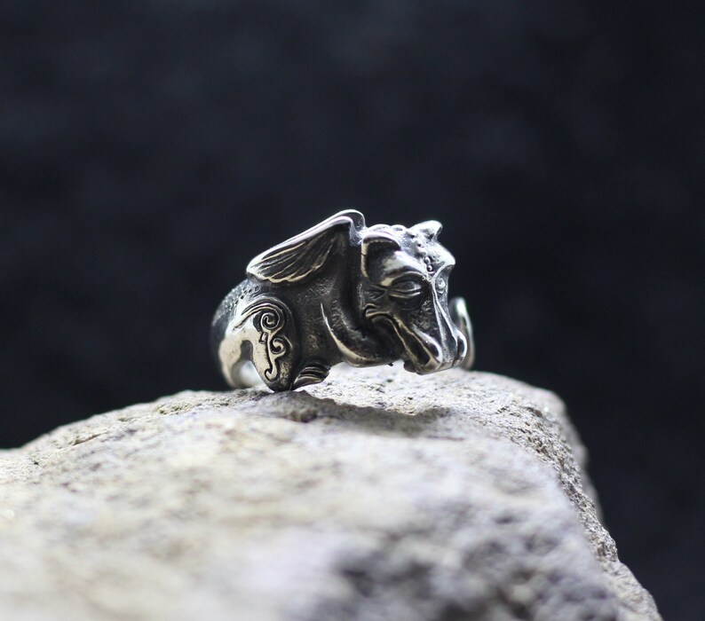 Cute Sleeping Dragon Ring. Baby-dragon on the Finger. Ethnic Style ...