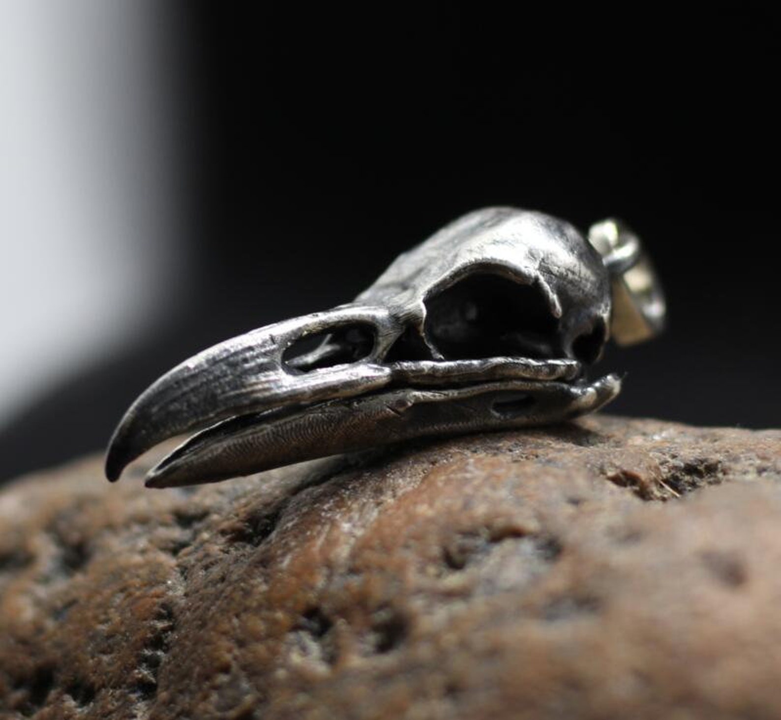 Small Extremely Anatomically Detailed Raven Crow Skull Jewelry Pendant ...