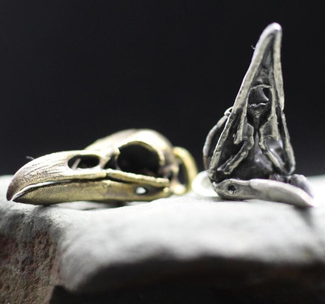 Small Extremely Anatomically Detailed Raven Crow Skull Jewelry Pendant ...