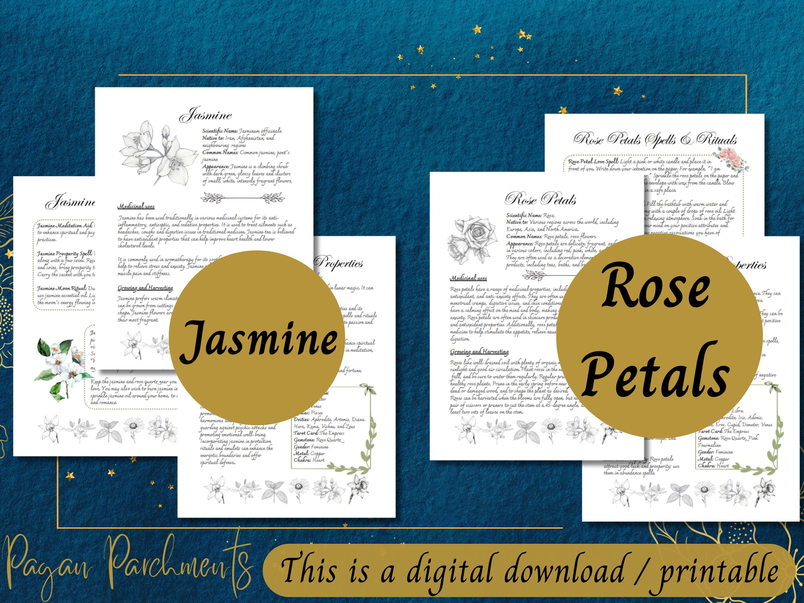 Pack No.4 Green Witch Herb Grimoire Pages, Book of Shadows Herbal Profile Printable, Herb Magic ...