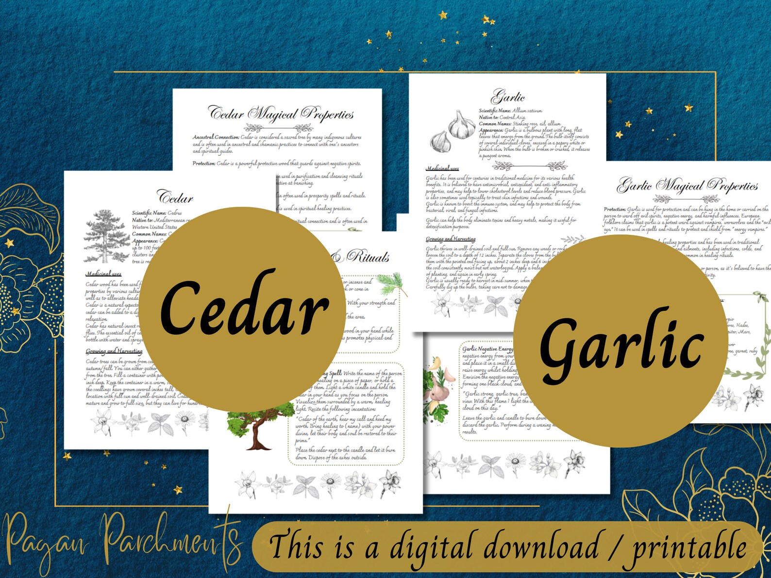 Green Witch Herb Grimoire Pages, Pack No.1 MEGAPACK, Book of Shadows ...