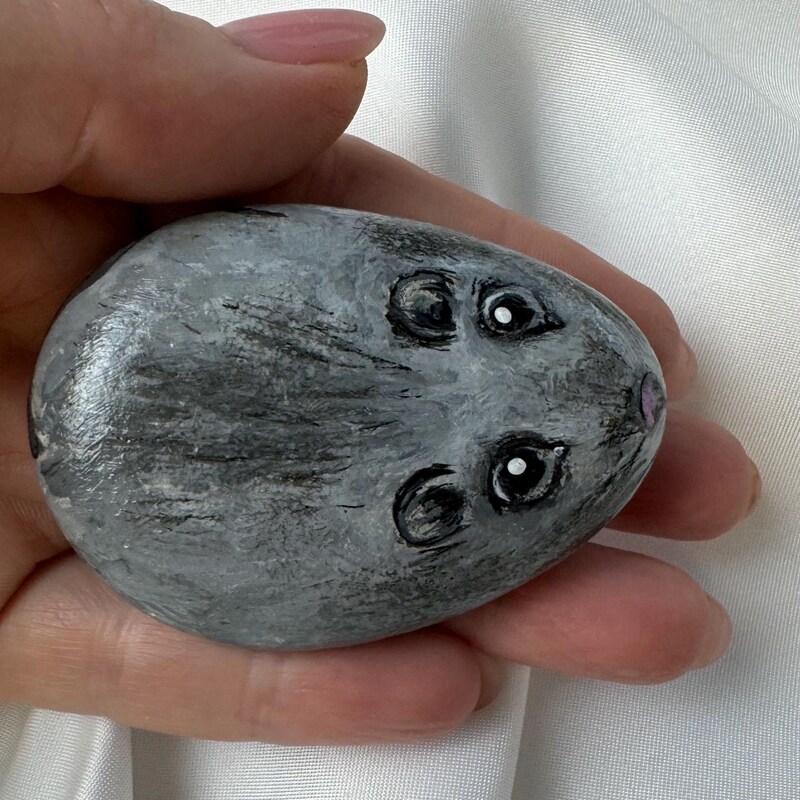 Funny Painted Rocks - Etsy