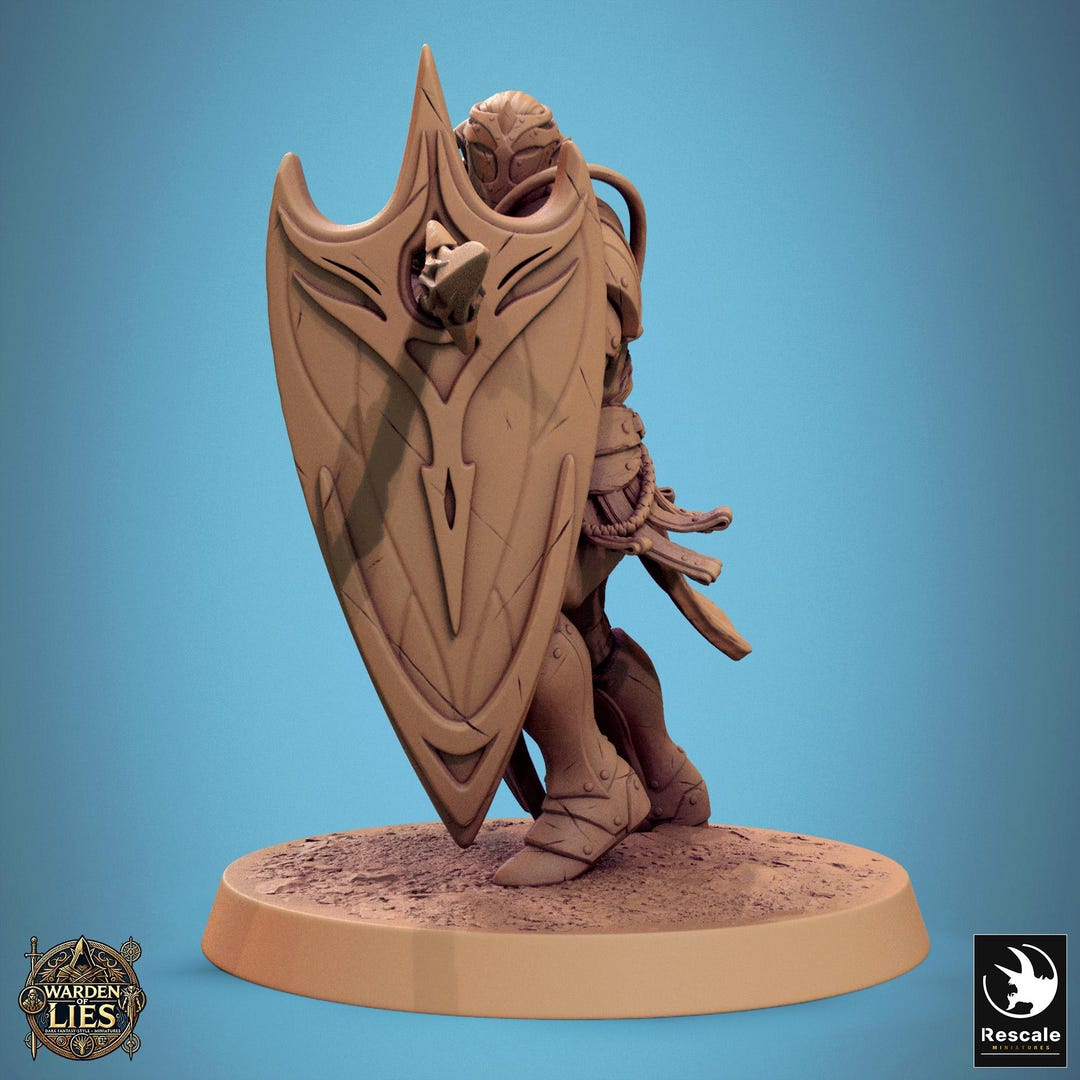 Moon Elf Sentinel Hold Line Spear Shield | DND| TTRPG| Premium Quality ...