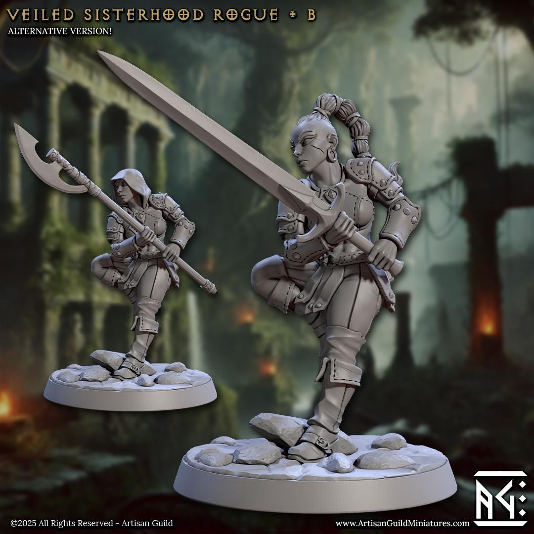Veiled Sisterhood Rogue Two Handed Fighter | TTRPG| by Artisan Guild - Etsy