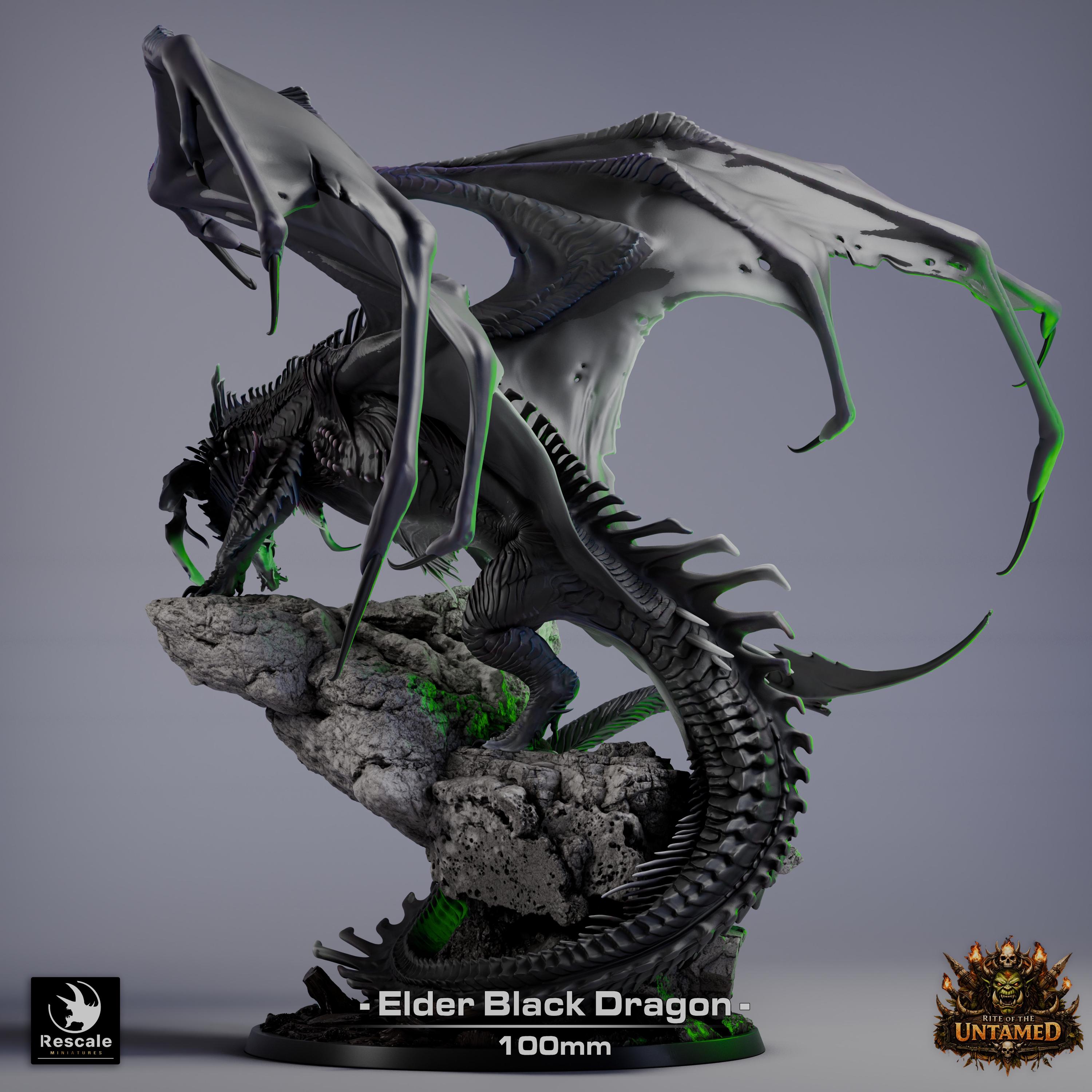 Black Dragon Elder | DND| TTRPG| by Rescale Miniatures S - Etsy
