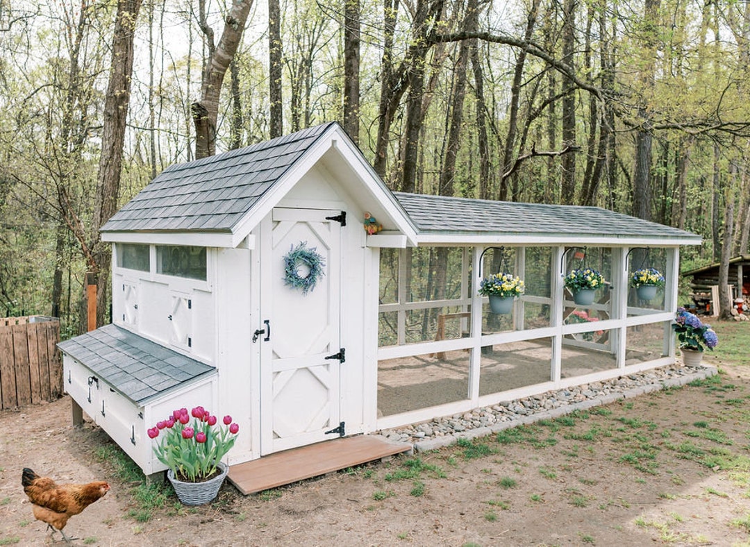 Chicken Coop And Run Enclosure Building Plans Walk In Secure Backyard