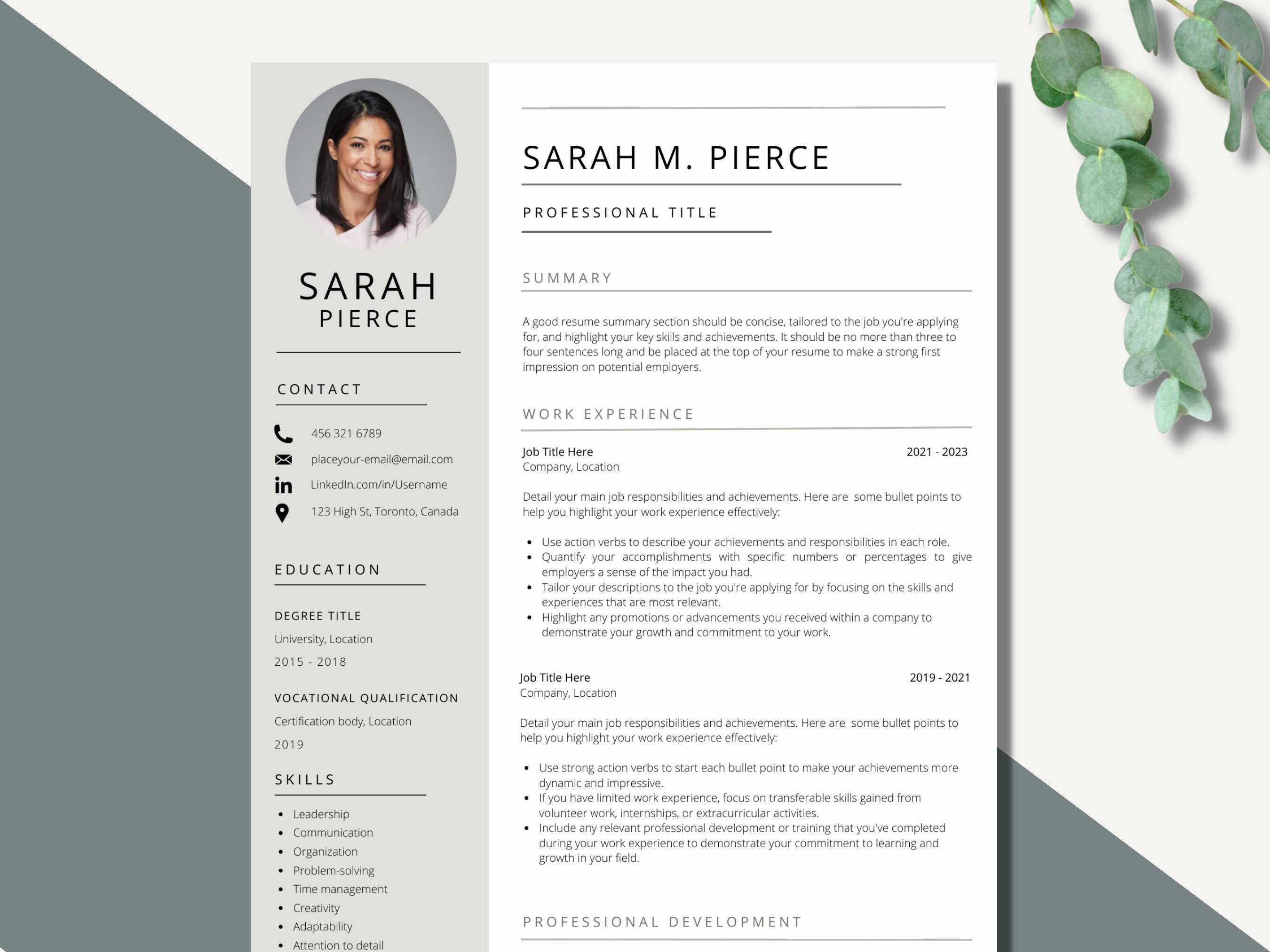 Professional Resume Template With Photo CV Template Resume Template ...
