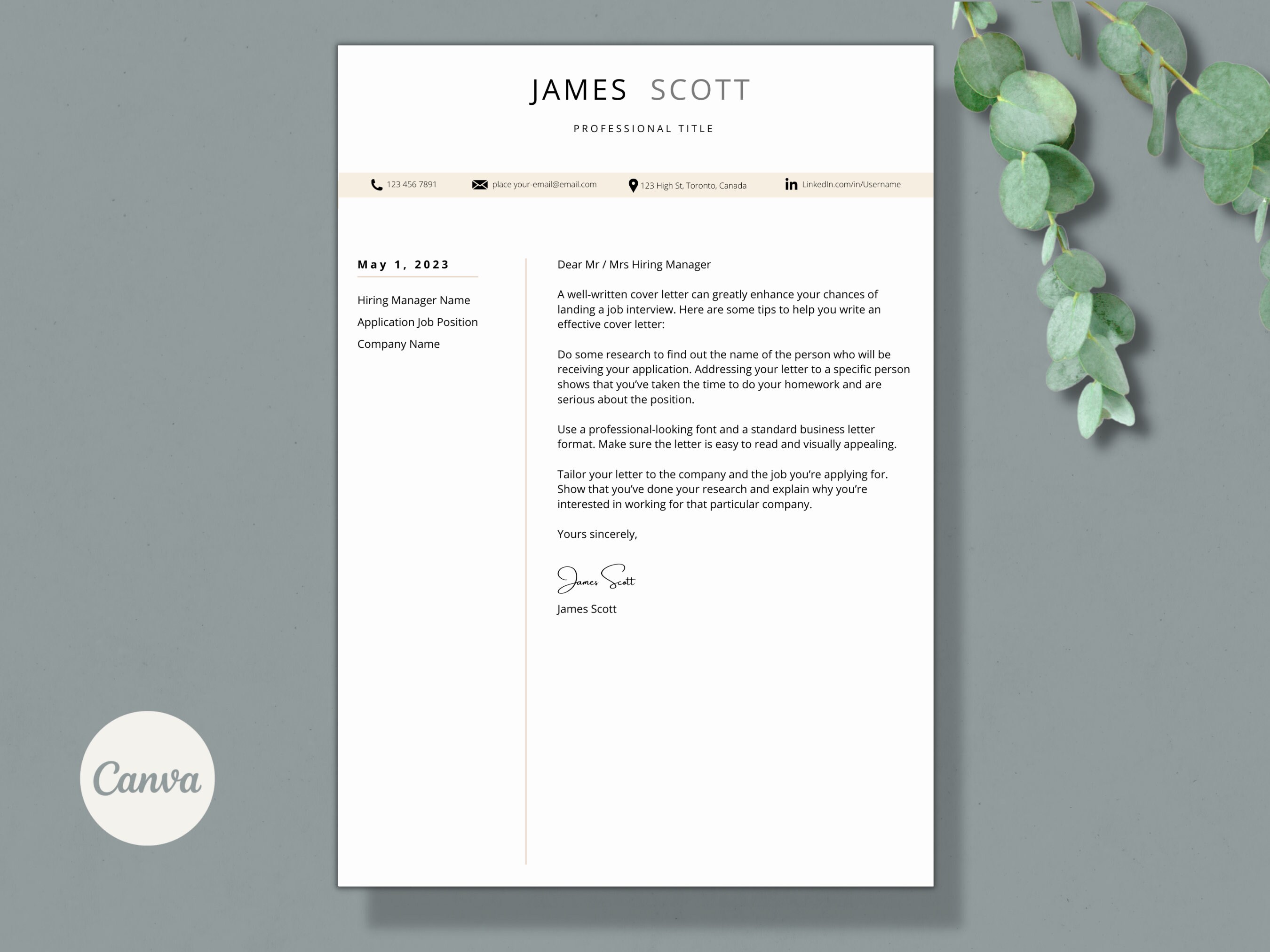Professional Resume Template Without Photo CV Template Resume Template ...