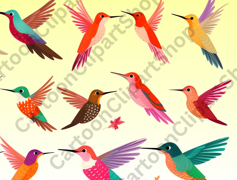 Colorful Hummingbird Clipart Collection - Vibrant Hummingbird PNG ...