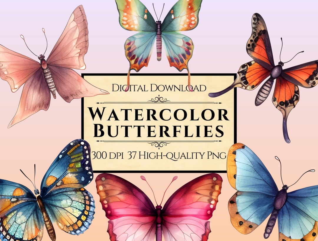 Springtime Watercolor Butterfly Clipart - High Resolution PNG Files ...
