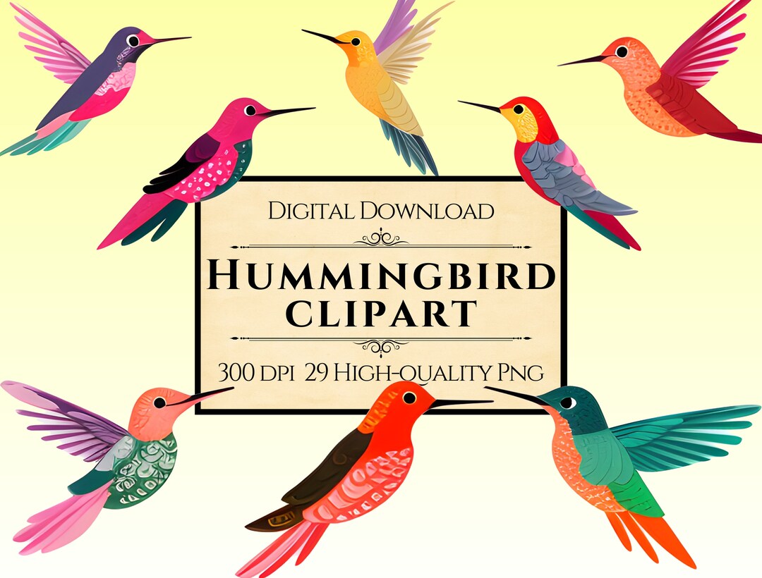 Colorful Hummingbird Clipart Collection - Vibrant Hummingbird PNG ...