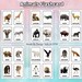Animals Printable Flashcards, Printable Cards Preschool, Animals Cards ...