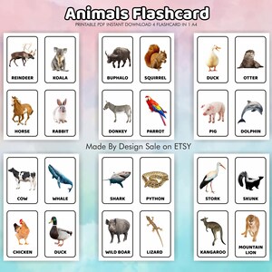 Animals Printable Flashcards, Printable Cards Preschool, Animals Cards ...