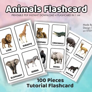 Animals Printable Flashcards, Printable Cards Preschool, Animals Cards ...