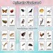 Animals Printable Flashcards, Printable Cards Preschool, Animals Cards ...