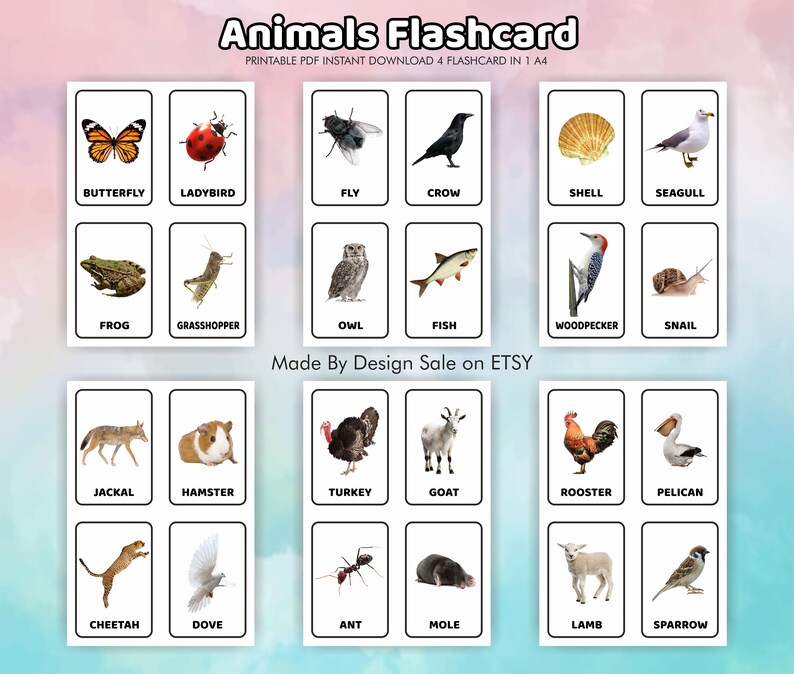Animals Printable Flashcards, Printable Cards Preschool, Animals Cards ...
