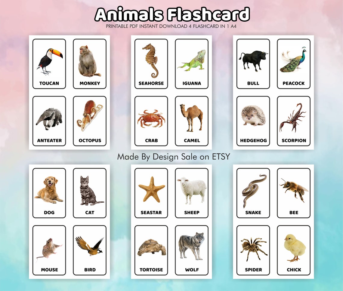 Animals Printable Flashcards, Printable Cards Preschool, Animals Cards ...