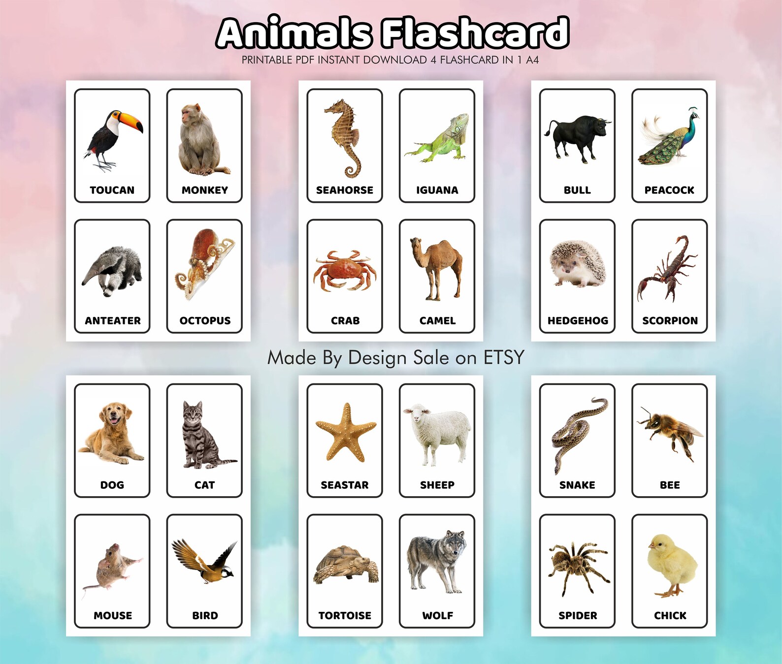 Animals Printable Flashcards, Printable Cards Preschool, Animals Cards ...