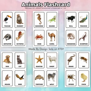 Animals Printable Flashcards, Printable Cards Preschool, Animals Cards ...