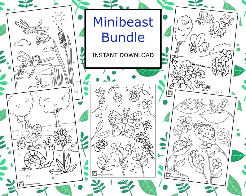 Minibeast Bundle Coloring Pages,insect Bugs School Learning Printable ...