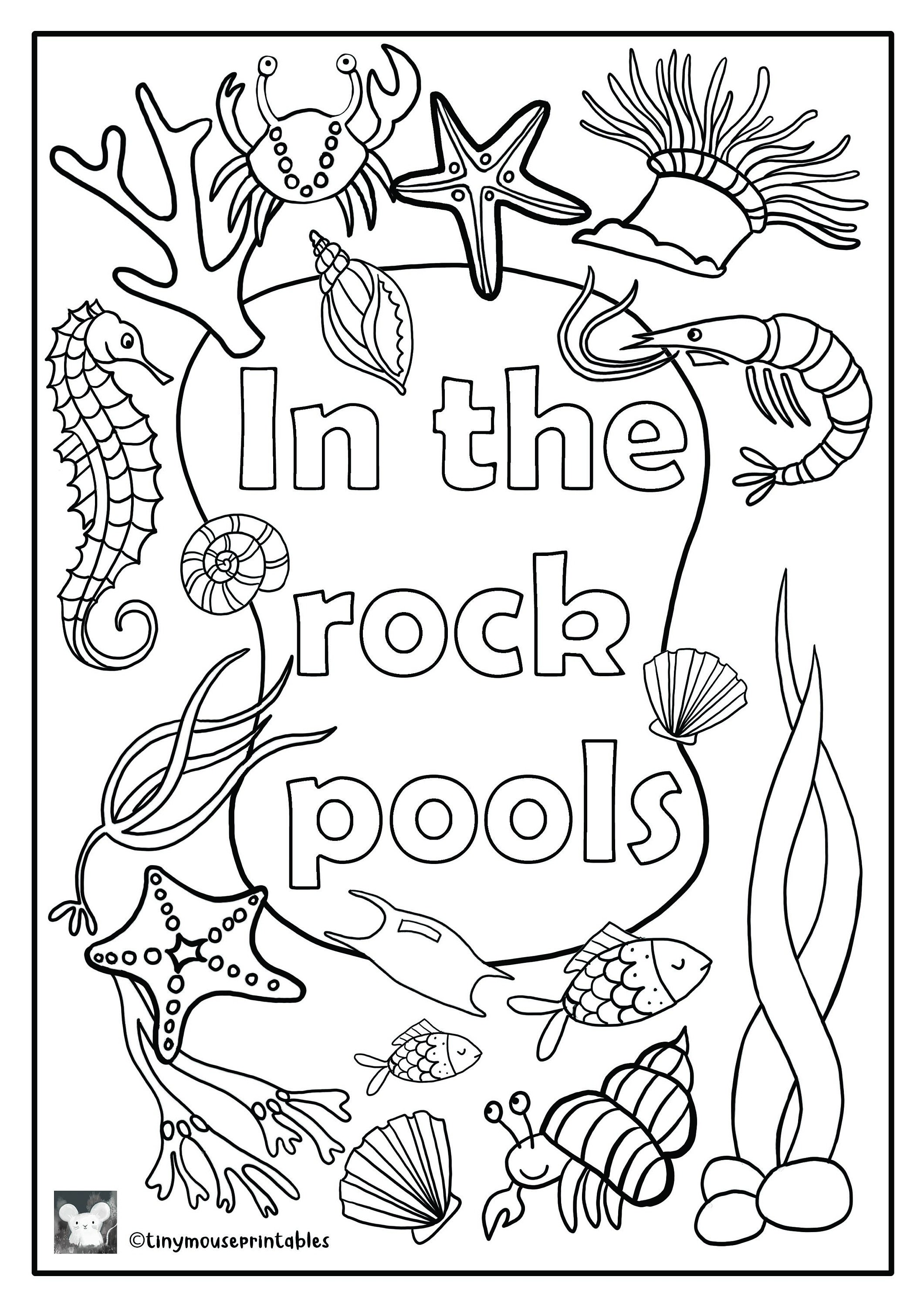 Beach Bundle Coloring Pages, Summer Holiday Printable, Beach Printable ...