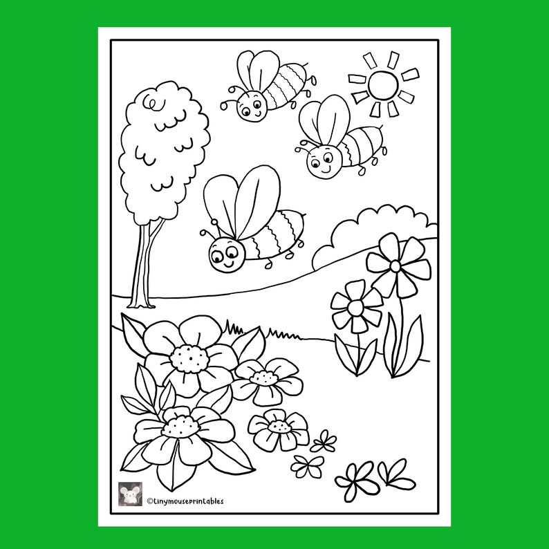 Minibeast Bundle Coloring Pages,insect Bugs School Learning Printable ...