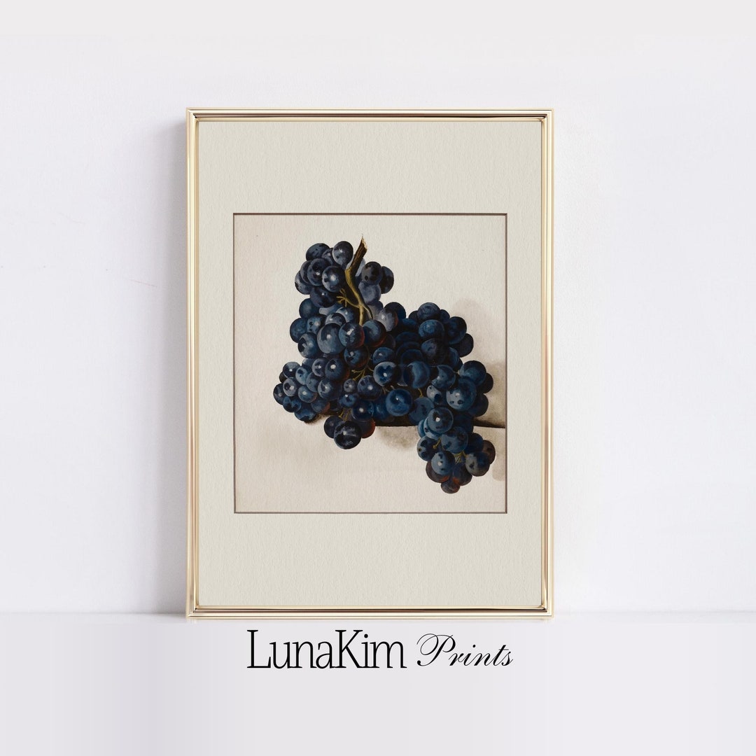 Grapes Painting Vintage Still Life Fruit Printable Grapes Wall Art ...