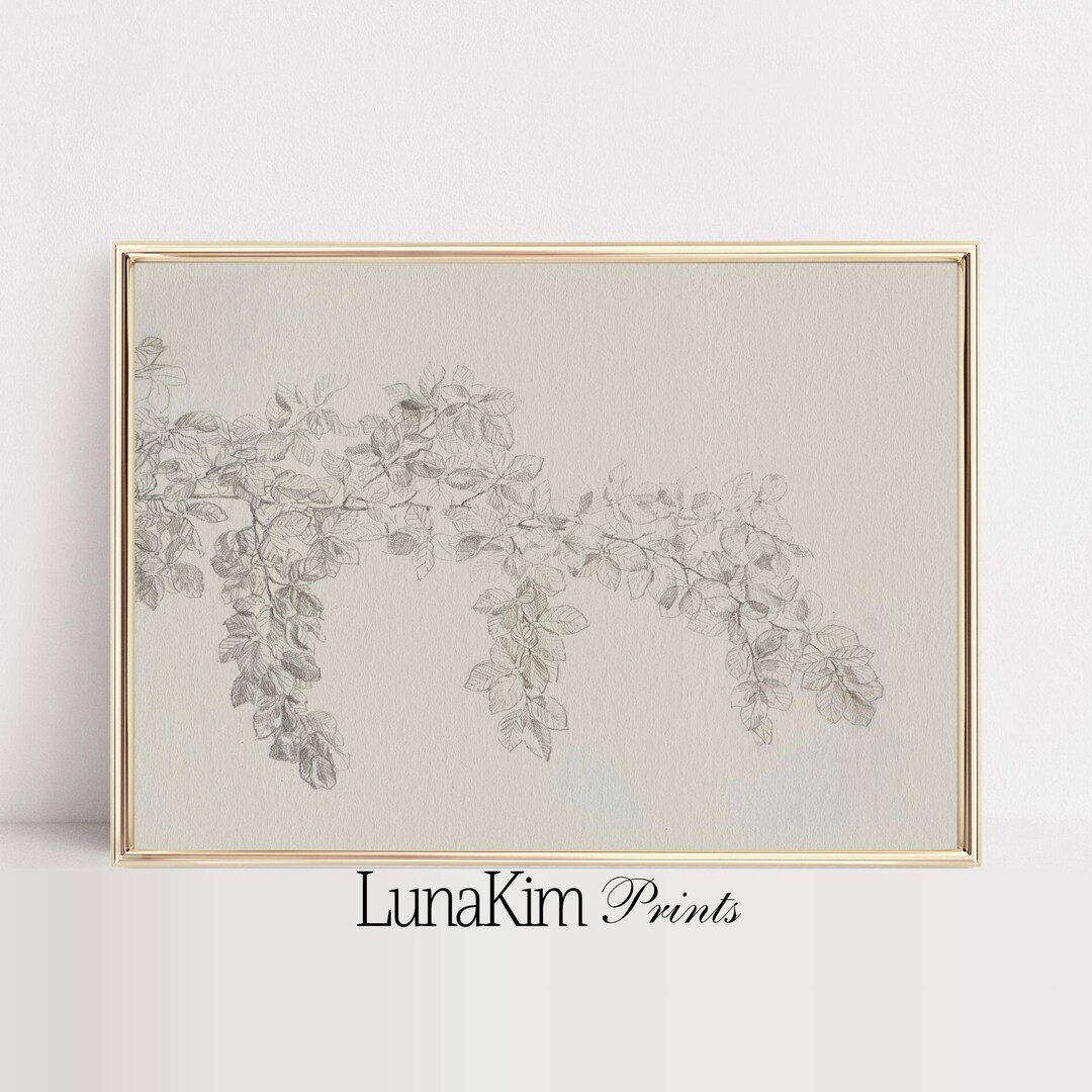 Vintage Neutral Botanical Sketch Antique Floral Drawing Beech Branch ...