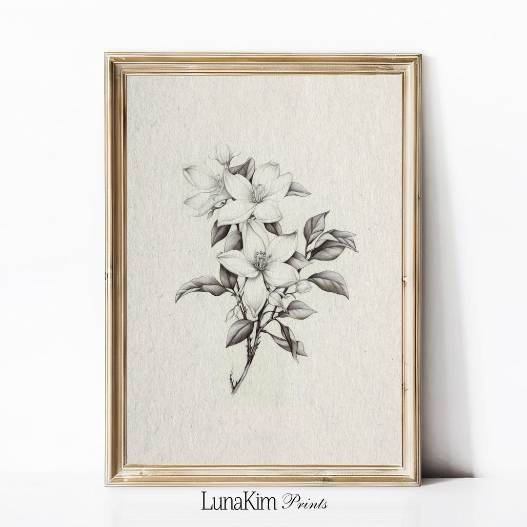 Neutral Flower Sketch Minimal Floral Print Botanical Etching Digital ...