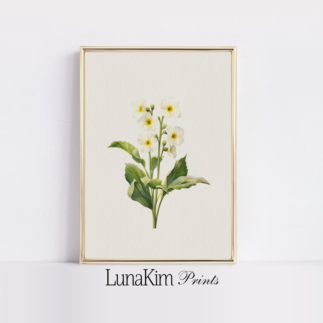 White Flower Printable Wall Art Digital Download Floral Print Rustic ...