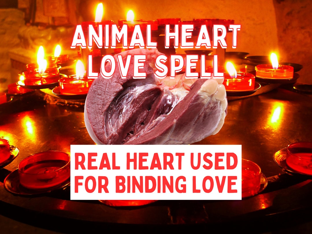 Powerful Love Spell With Real Animal Heart, Obsession Love Spell ...