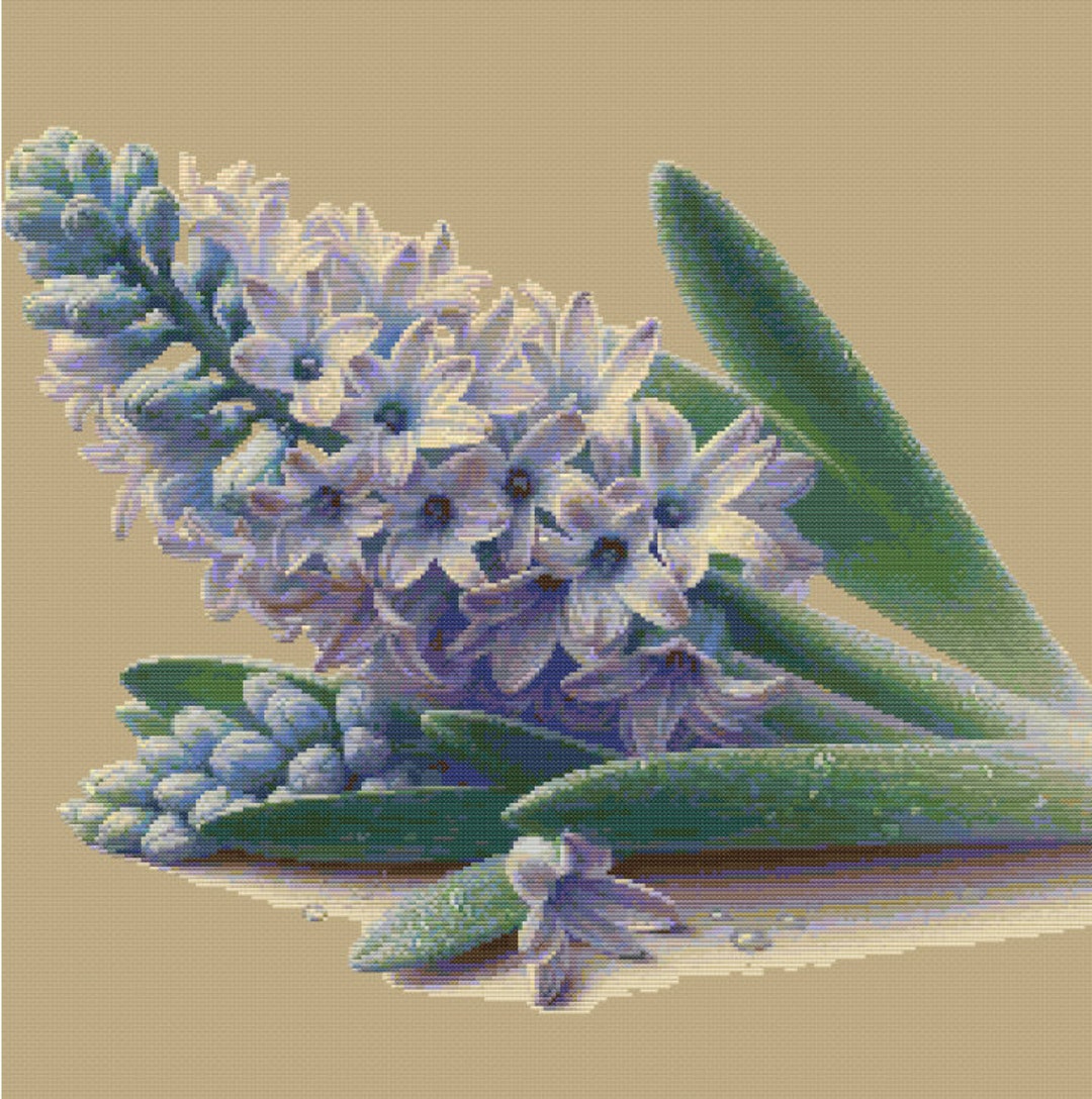 Cross Stitch Pattern hyacinth PDF, Cross Stitch Patterns, Instant ...