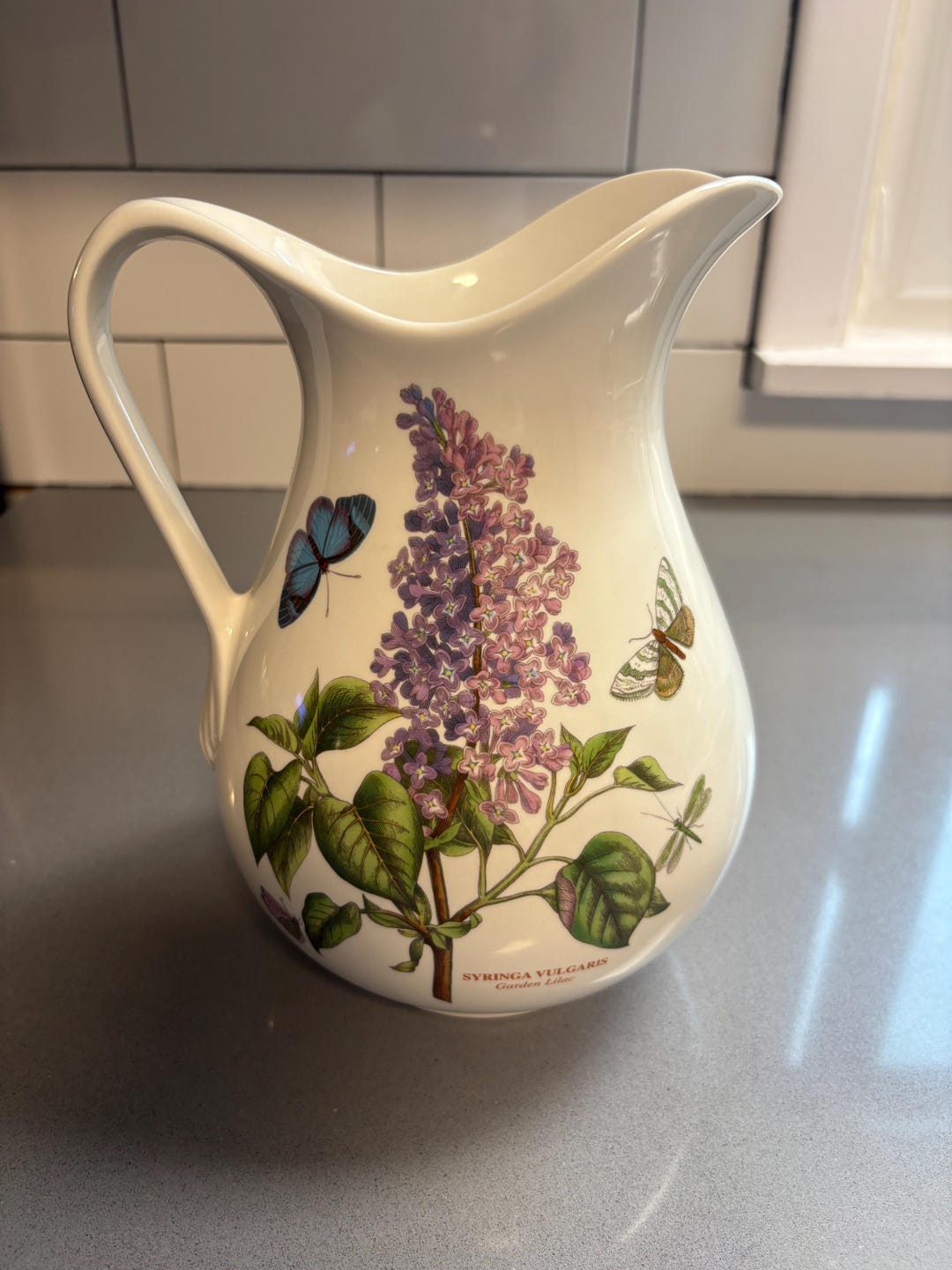 Portmierion Botanical Garden Vintage Lilac Pitcher. Highly Collectible ...