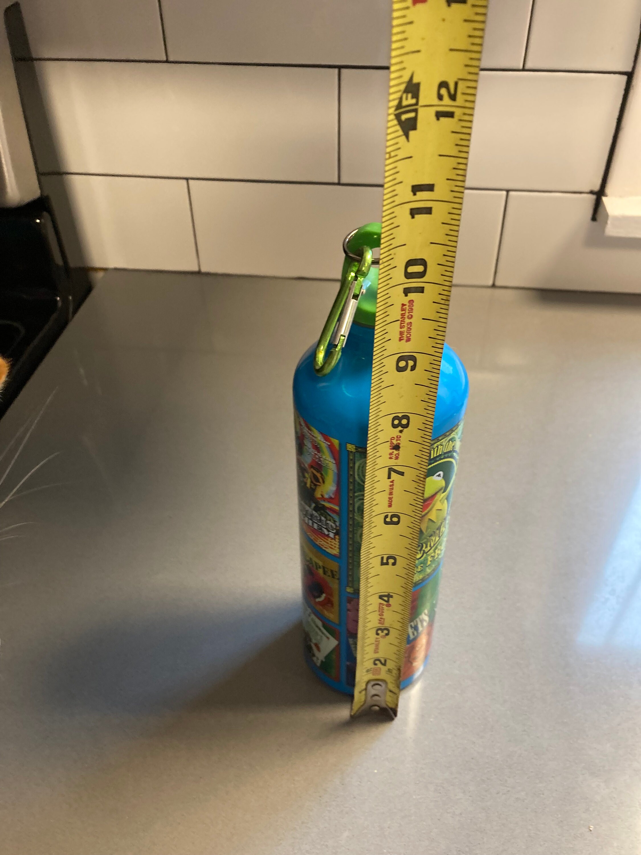 Disney Muppets Metal Water Container With Hook - Etsy