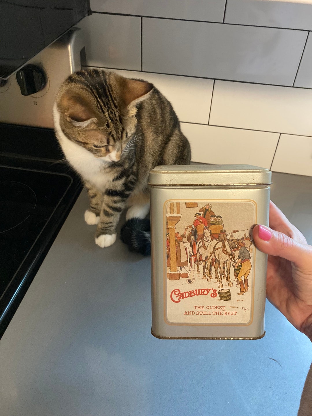 Cadbury York Peppermint Patties Vintage Tin - Etsy