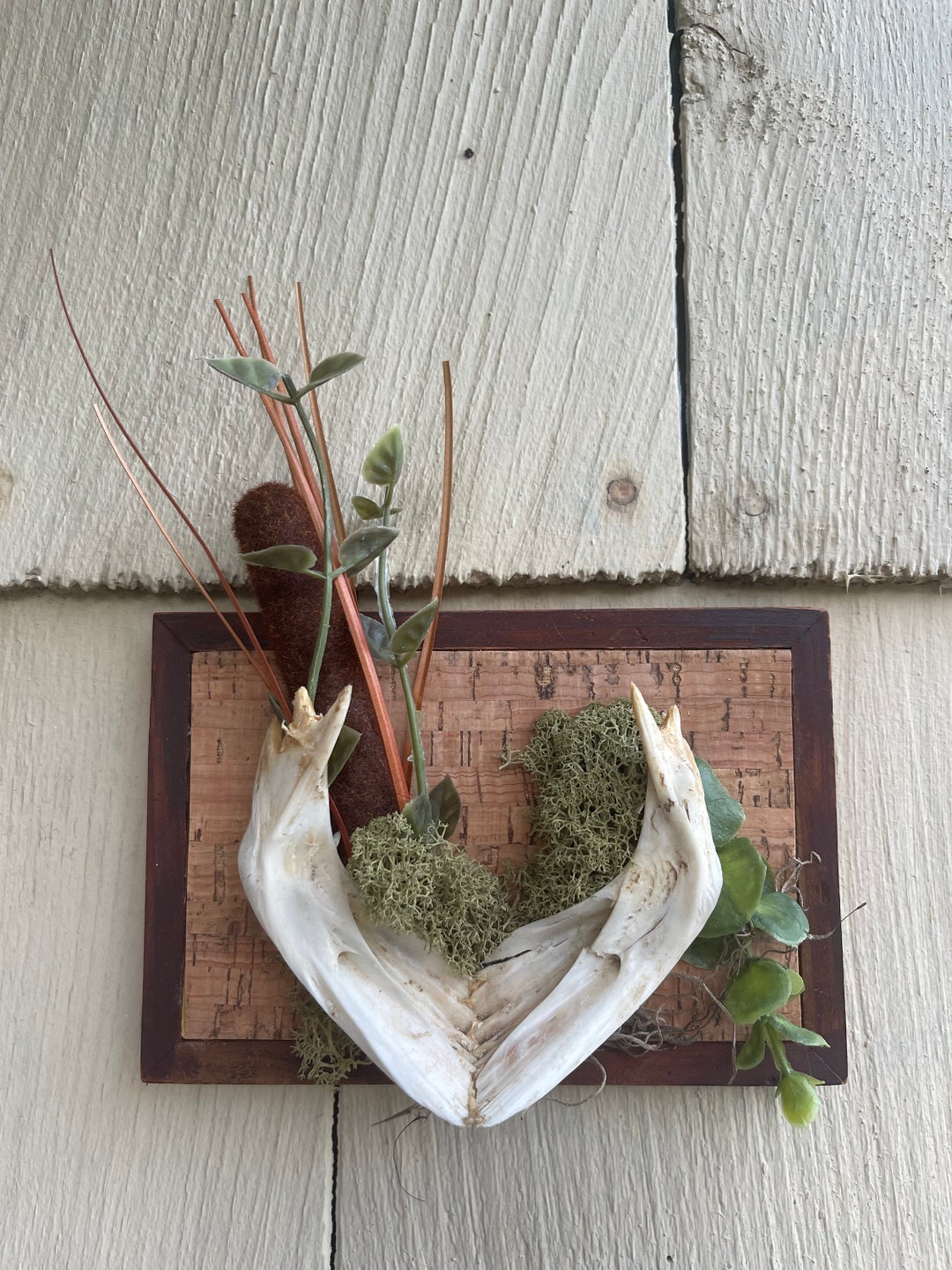 Fish Bone Wall Decor - Etsy