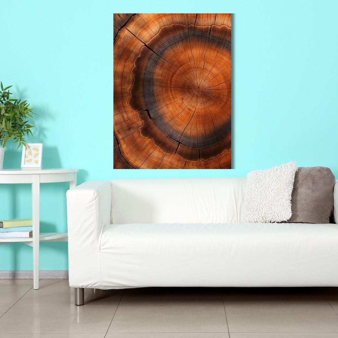 Colorful Tree Rings Wall Art, Tree Rings Canvas Elegant Natural Wall ...